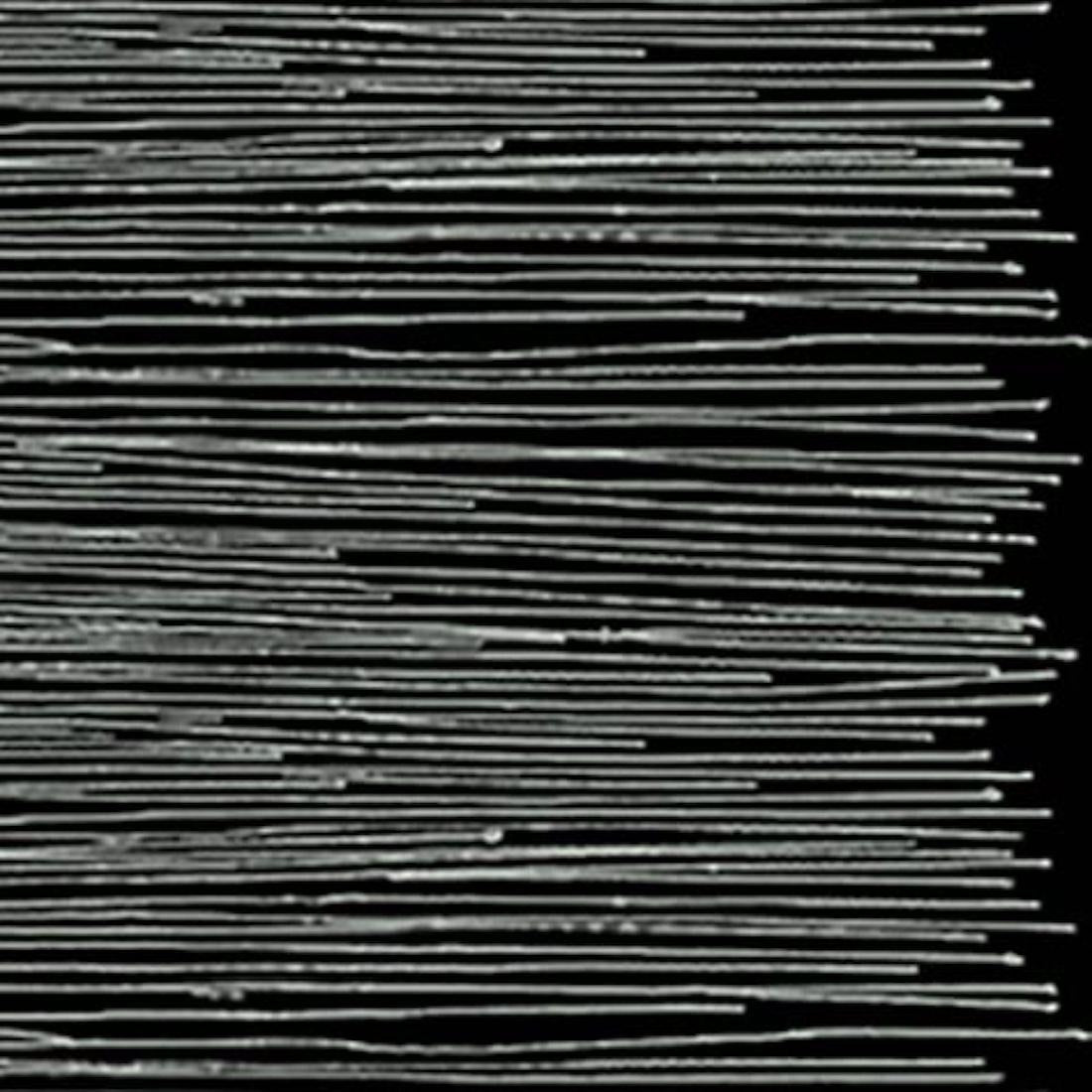 Drip Zebra by Giucy Giuce for Andover Fabrics – Valley Fabrics